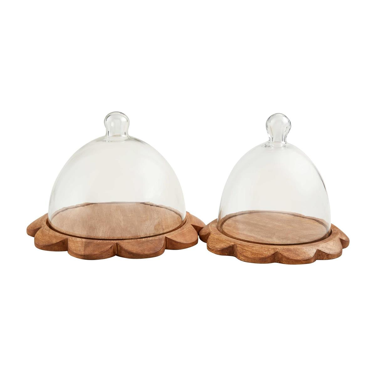 Scallop Cloche Set – Market 52